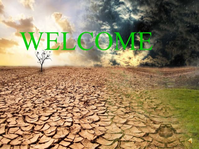 Soil Pollution: A Hidden Reality