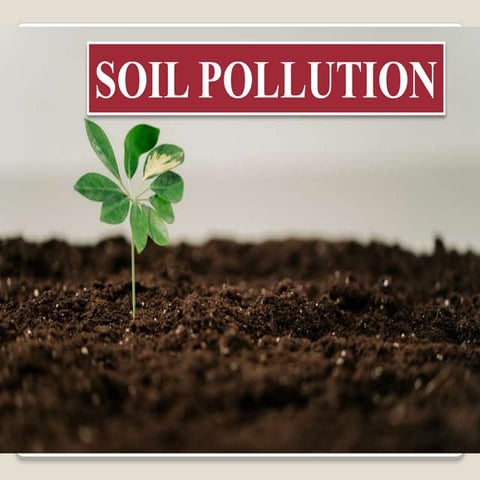 Soil pollution causes effects remedial measures | PPTX