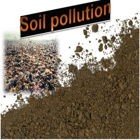 Soil pollution and how to prevent it | PPTX