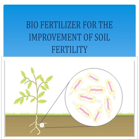 Biofertilizer | PPTX
