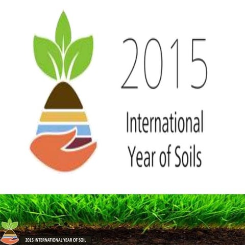 Soil presentation 2 (2) | PPTX