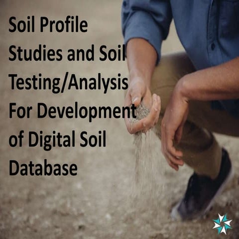 Soil presentation [3] | PPT