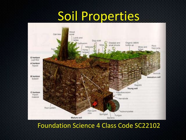 Class IV Science -Soil | PPTX | Gardening | Home & Garden