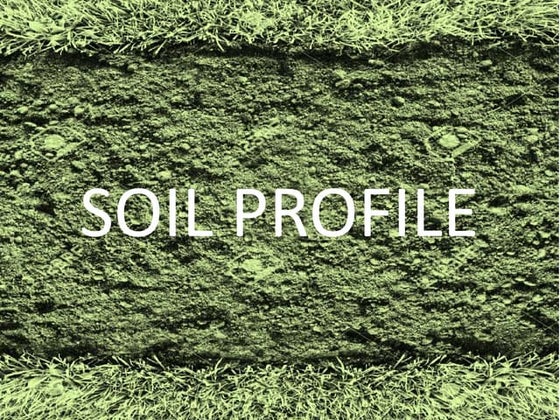 Soil | PPT