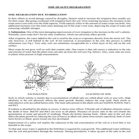 SOIL QUALITY DEGRADATION.docx