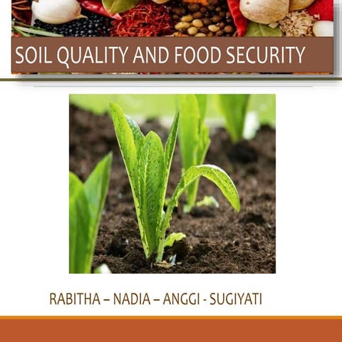 soil quality and food security | PPTX