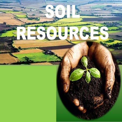 Soil resources | PDF