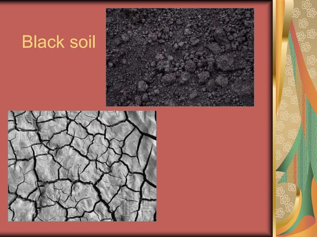 Tropical Latosols - Soils | PPTX