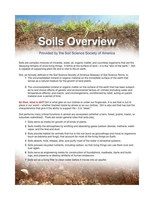 Types and Kinds of Soil Lesson for Grade 2.pptx | Geology | Science