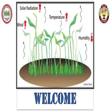 Solar and terrestrial radiation, dissipation and distribution in soil ...