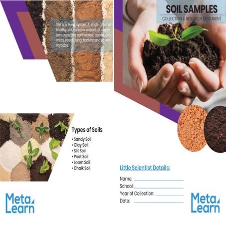 SOIL SAMPLEFor early Years education in schools | PPT