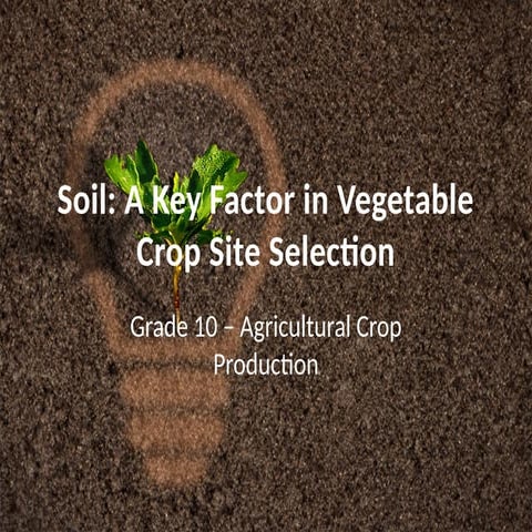 Soil: Key Factor in Vegetable Crop Site Selection.pptx