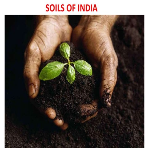 History Of Forest Conservation In Indian Subcontinent. | PDF