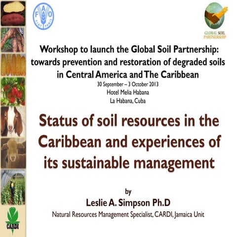 Status of soil resources in the Caribbean and experiences of its ...