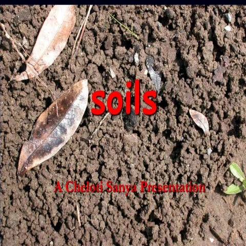 SOILS ppt.ppt
