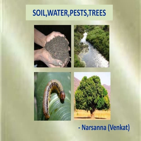 Soil water pests trees | PPTX