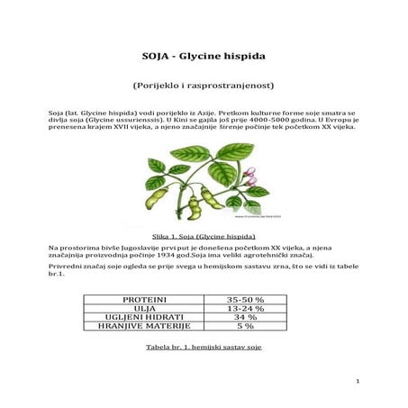 Soja (uzgoj soje) | DOCX