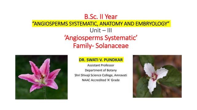 Leaf apex type | PDF