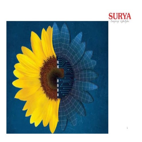 Surya Solar portfolio items Jan 2024.pdf