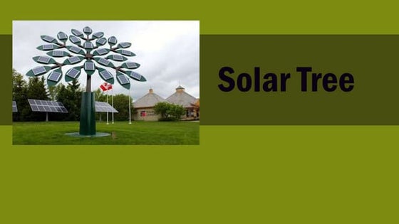 Solar tree PPT | PPT