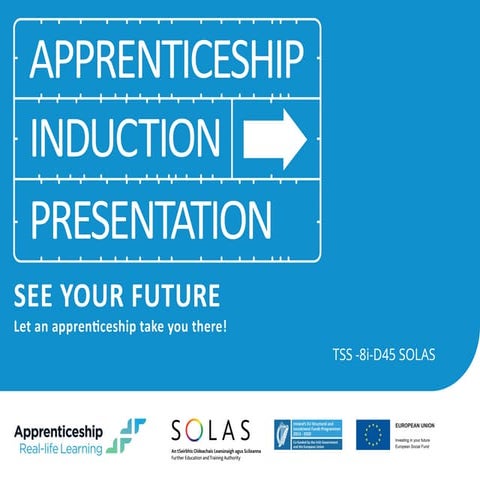 SOLAS - New Generation Apprenticeship Induction - November 2024.pptx