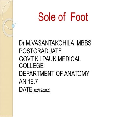 Gross anatomy and four Layers of sole,Applied aspect | PPT