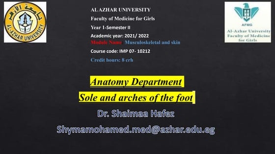 Sole of foot | PPTX