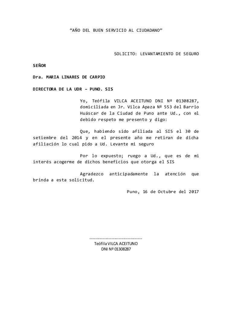 Modelo De Solicitud Simple