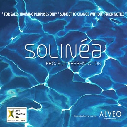 Solinea Technical Brief | PDF