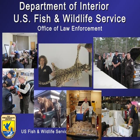 Solis ecn2013 usfws | PPT