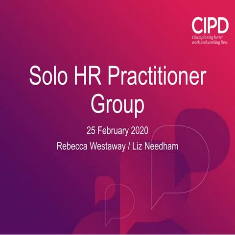 Solo HR Practitioner Group | PPTX