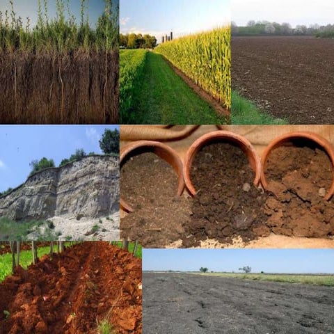 solul_ppt_clasa_a_5_a.pptx