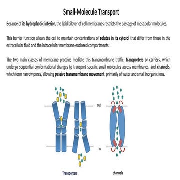 Solute transport across plasma membrane.pptx