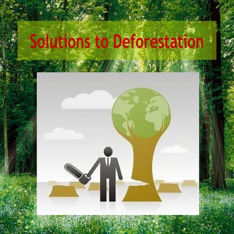 Gido Watch - Solutions to deforestation | PPT