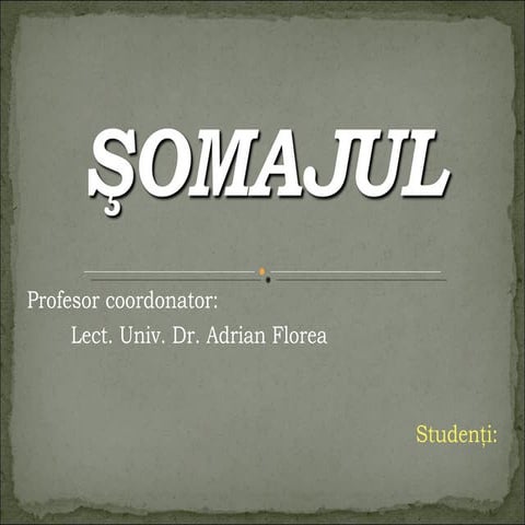 Somajul | PPT