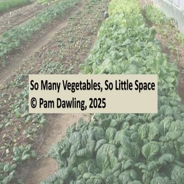 So Many Vegetables, So Little Space.pdf Pam Dawling | PDF