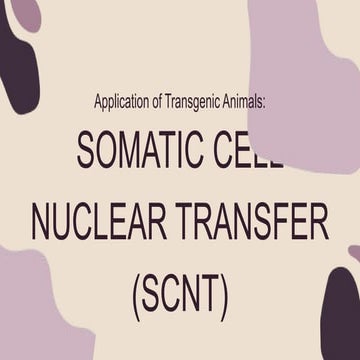 somatic-cell-nuclear-transfer-scnt_20240421_181131_0000-1.pptx