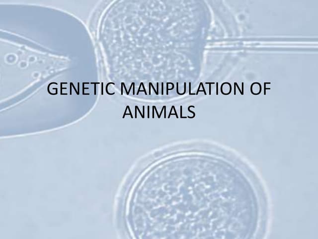 Somatic cell nuclear_transfer | KEY