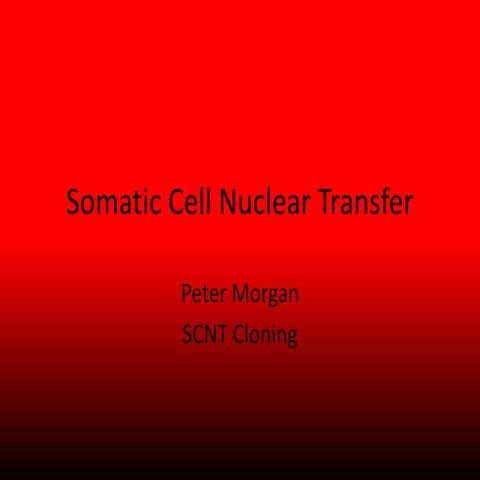 Somatic cell nuclear transfer ppt | PPTX