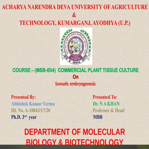 somatic embryogenesis Abhishek kumar verma.pptx