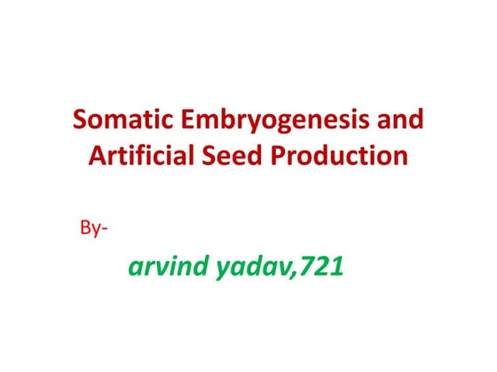 Somatic embryogenesis | PPTX