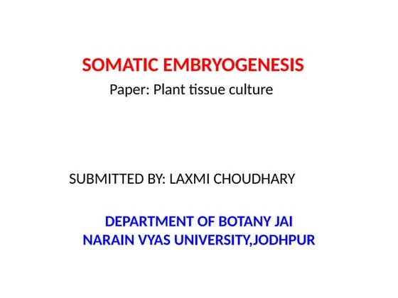all the information for somatic embryogenesis | PPT