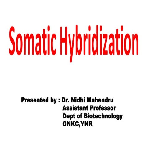 somatic hybrid.pptx