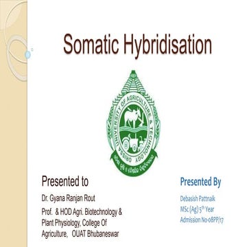 Somatic hybridisation | PPTX
