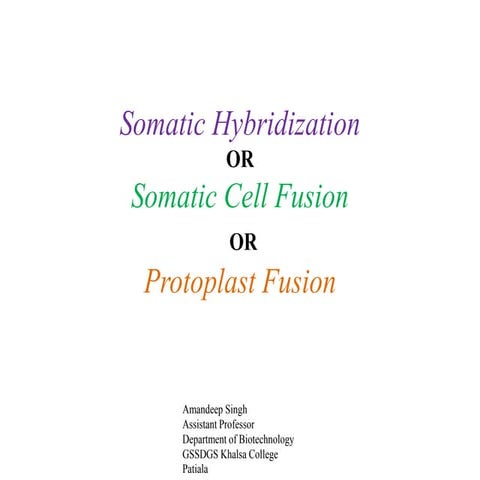 Somatic hybridization | PDF