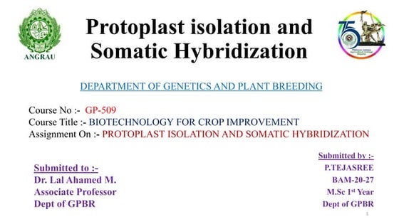 PROTOPAST ISOATION, PROTOPAST FUSION AND SOMATIC HYBRIDISATION.pptx