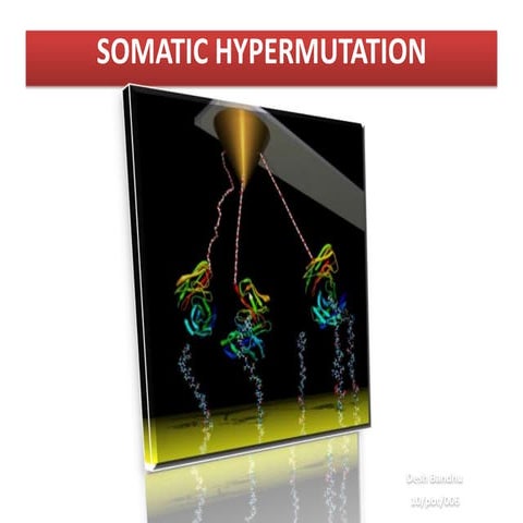 Somatic hypermutation | PPTX