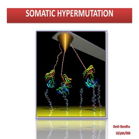 DESH BANDHU GANGWAR presentation on Somatic hypermutation | PPTX