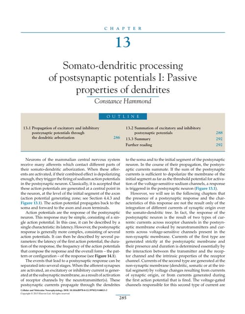 04 nerve singnal processing | PPT