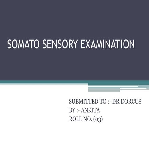 Sensory system examination | PPTX